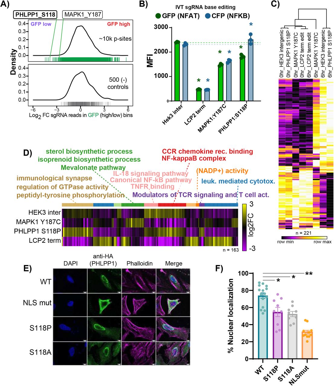 P3 Electroporation Buffer | Lonza | Bioz