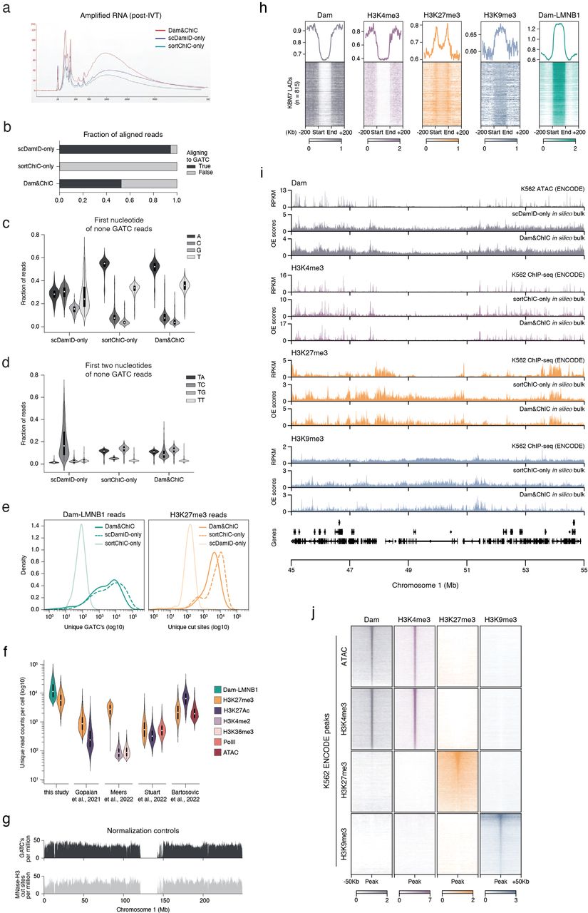 H3k4me3 | Thermo Fisher | Bioz