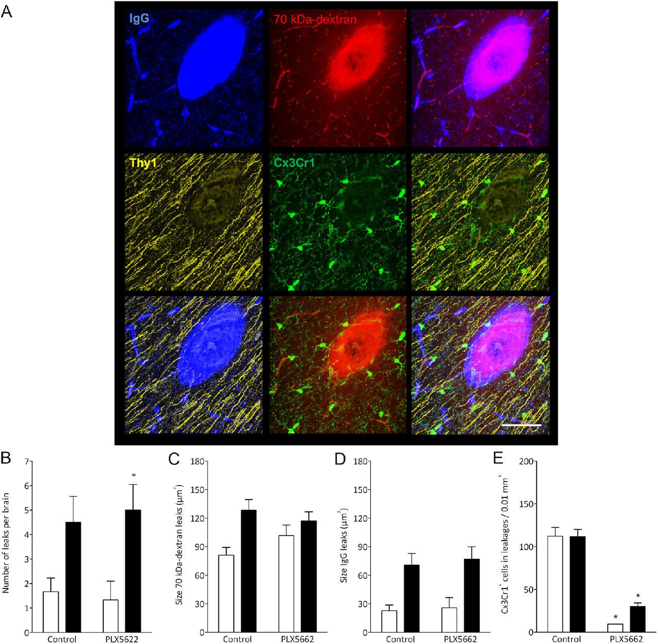 Plx5622 Chow | Plexxikon | Bioz