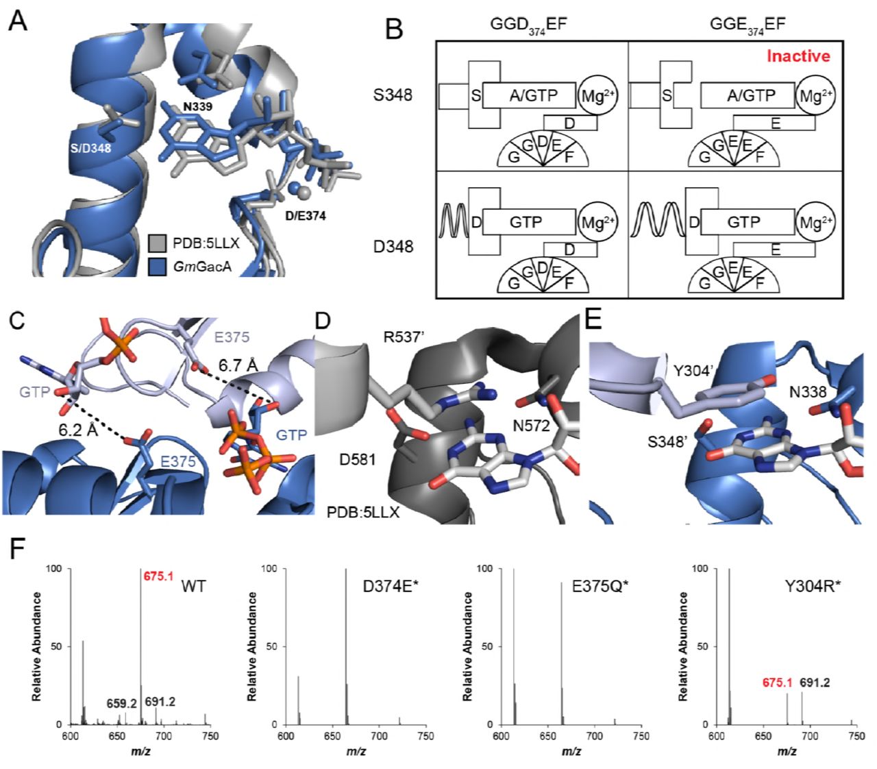 E Coli Mfdpir Carrying Ptns3 | Millipore | Bioz