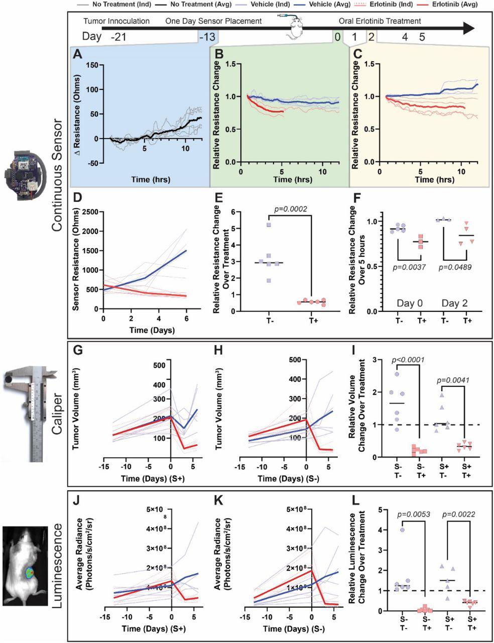 Human Lung Cancer Cell Lines Hcc827 | ATCC | Bioz