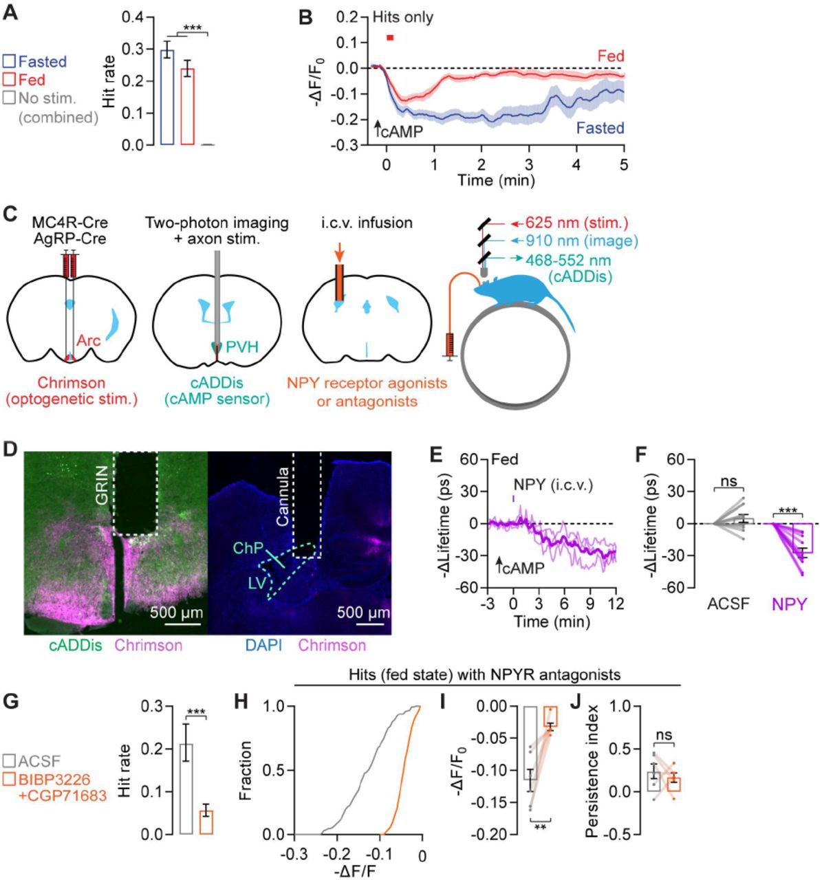 Flex Chrimson | Addgene inc | Bioz