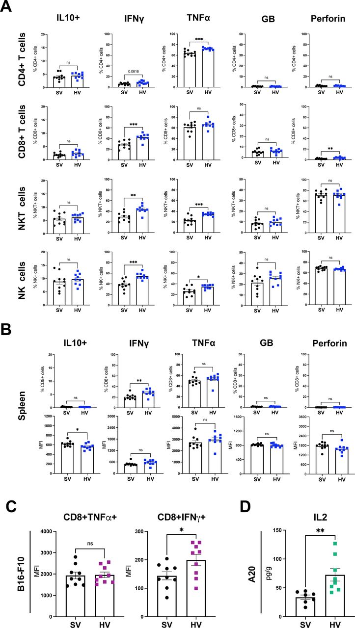 B16 F10 Cell Lines | ATCC | Bioz