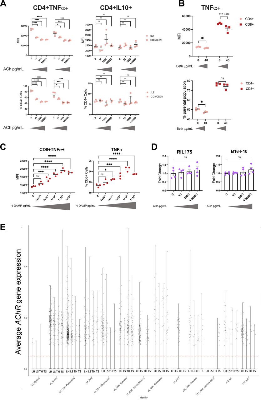 B16 F10 Cell Lines | ATCC | Bioz