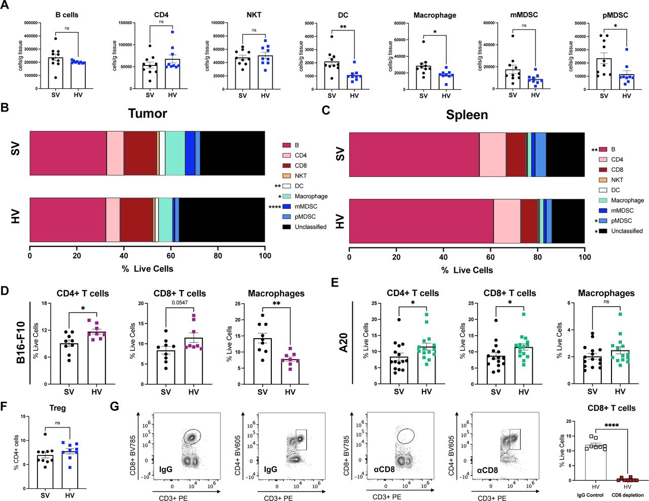 B16 F10 Cell Lines | ATCC | Bioz