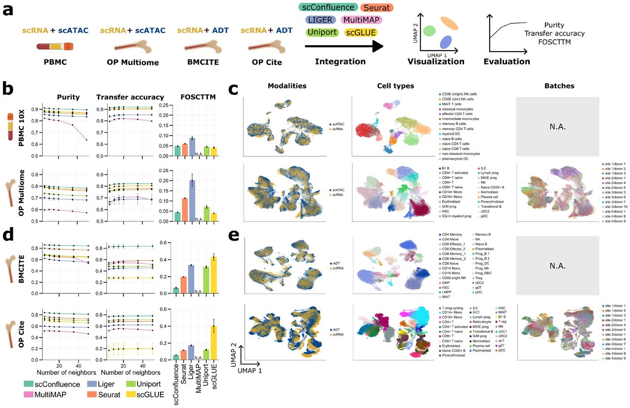 Human Pbmcs | 10X Genomics | Bioz