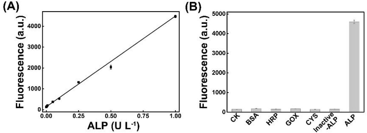 Nb Bbvci | New England Biolabs | Bioz