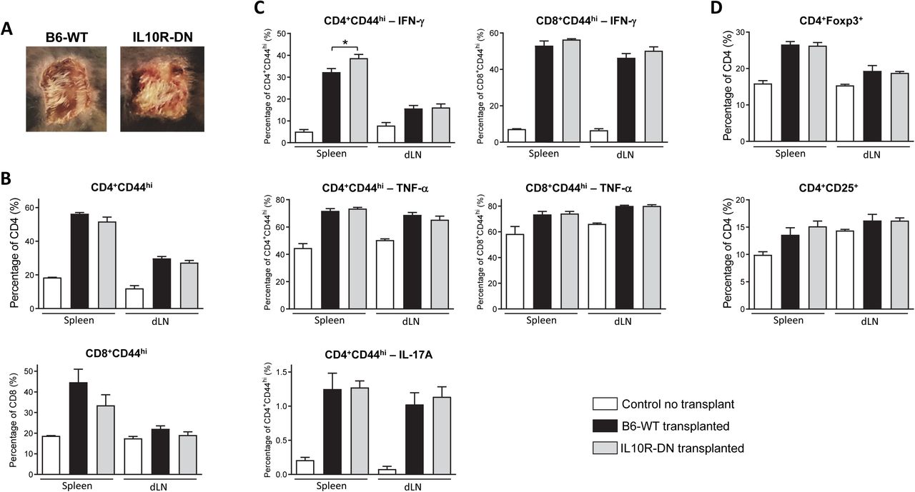 Pma Ionomycin | Thermo Fisher | Bioz