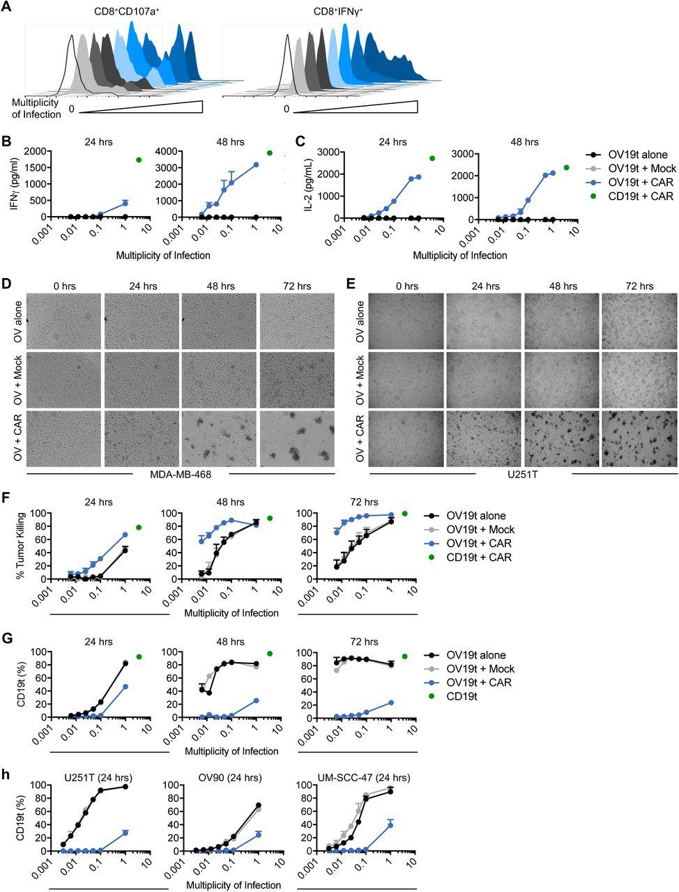 Ov90 Human Ovarian Cancer Cell Lines | ATCC | Bioz