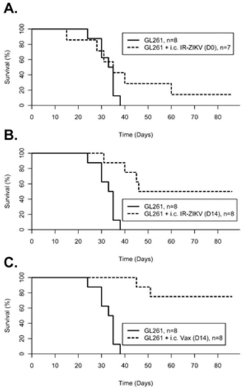 Mouse Glioma Cell Lines Gl261 | ATCC | Bioz
