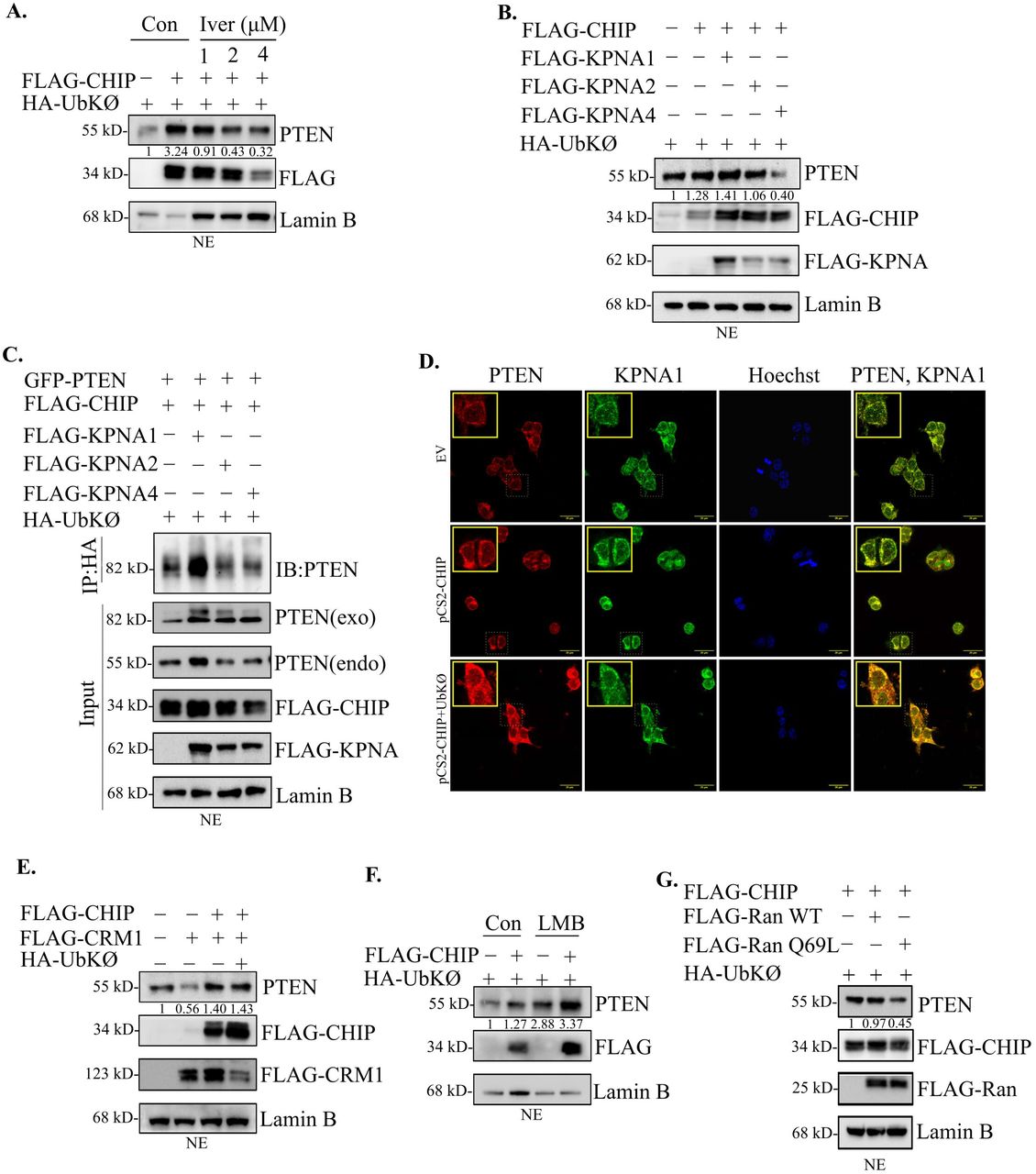 Pten Staining | Agilent technologies | Bioz