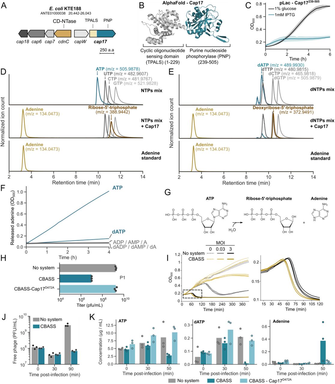 Deoxynucleotide Dntp Solution Mix | New England Biolabs | Bioz