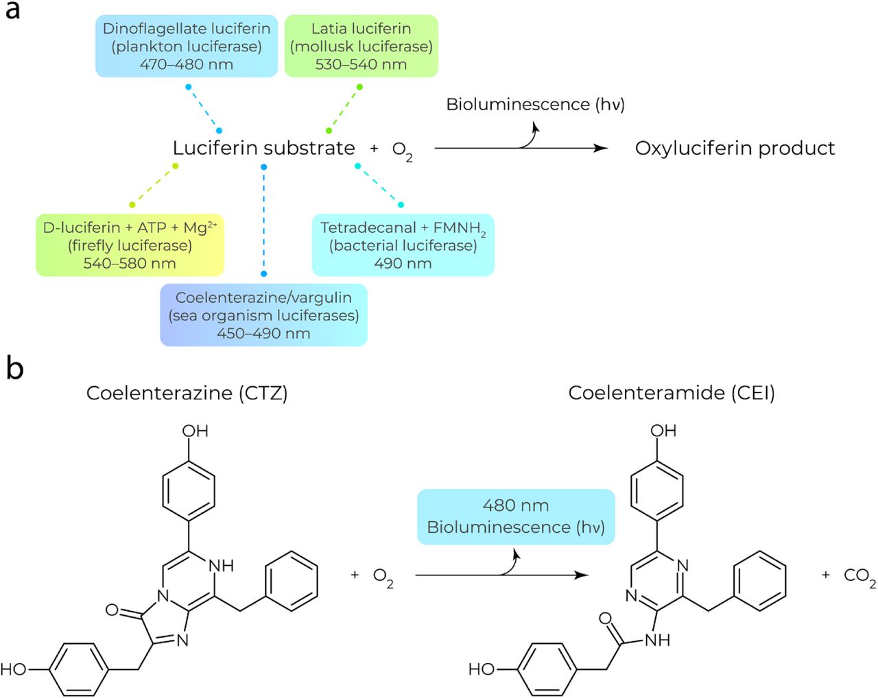 Bioluminescence Signal | Promega | Bioz