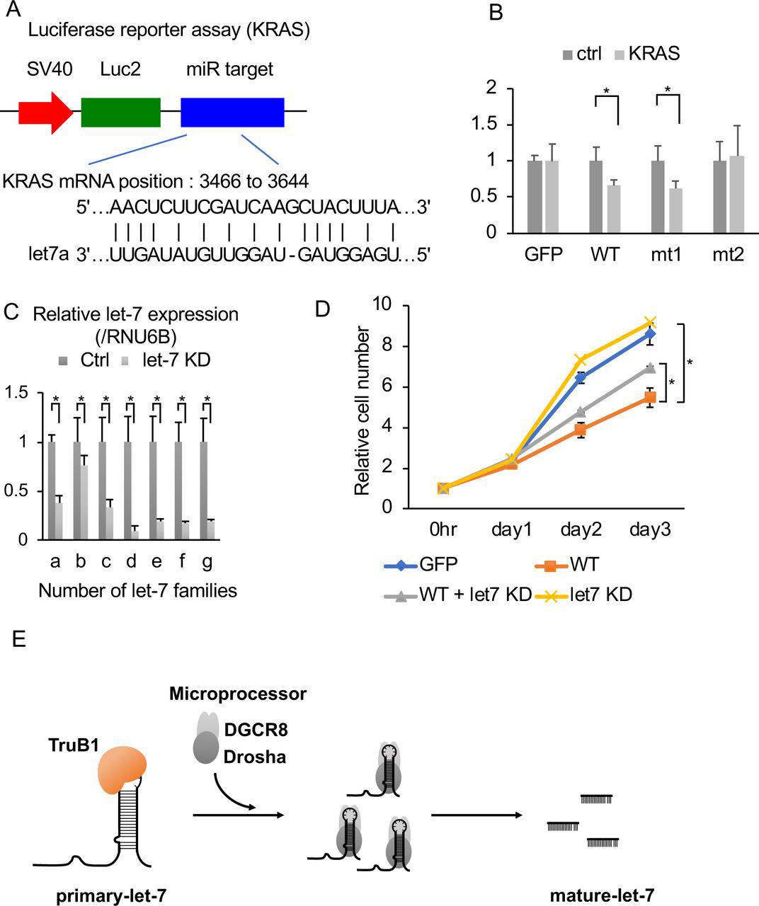 293ft Cell Cdna | Thermo Fisher | Bioz