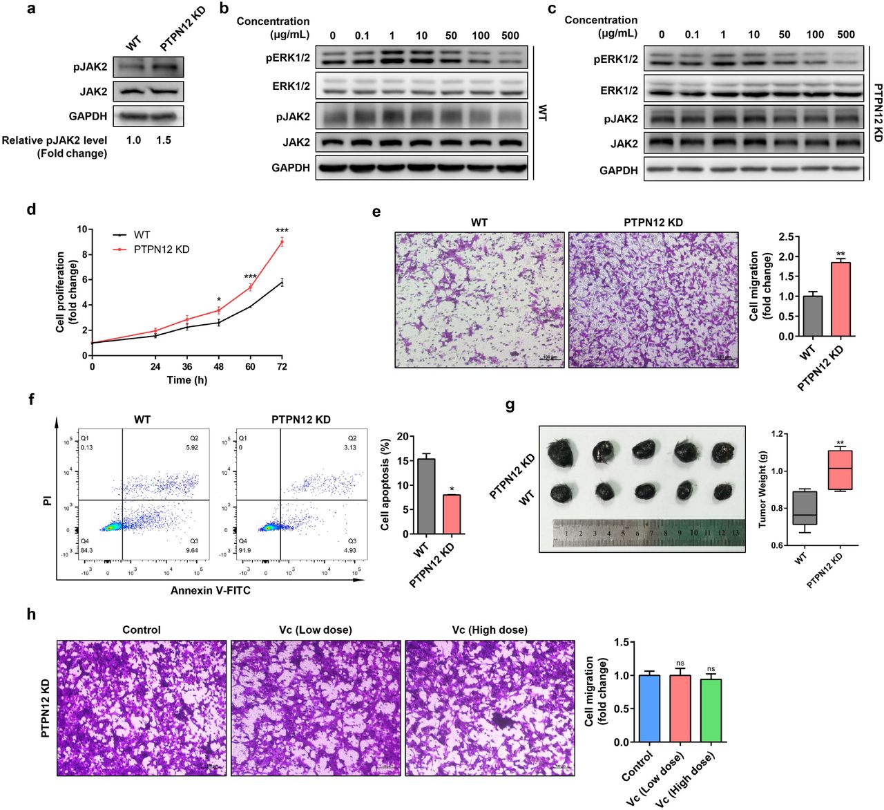 Bd Facsaria Iii Flow Cytometry | Becton Dickinson | Bioz