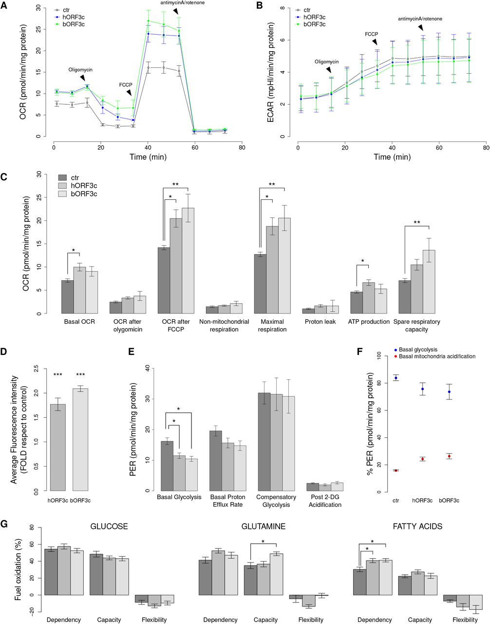 A549 Ace2 Cells | Thermo Fisher | Bioz