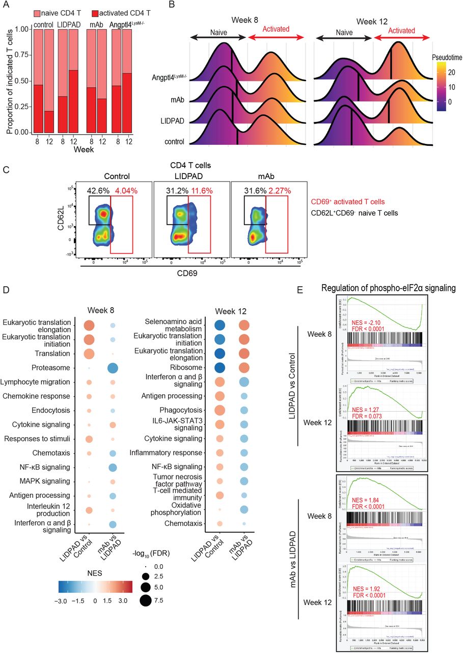 Magnetic Cell Separation Columns | Miltenyi Biotec | Bioz