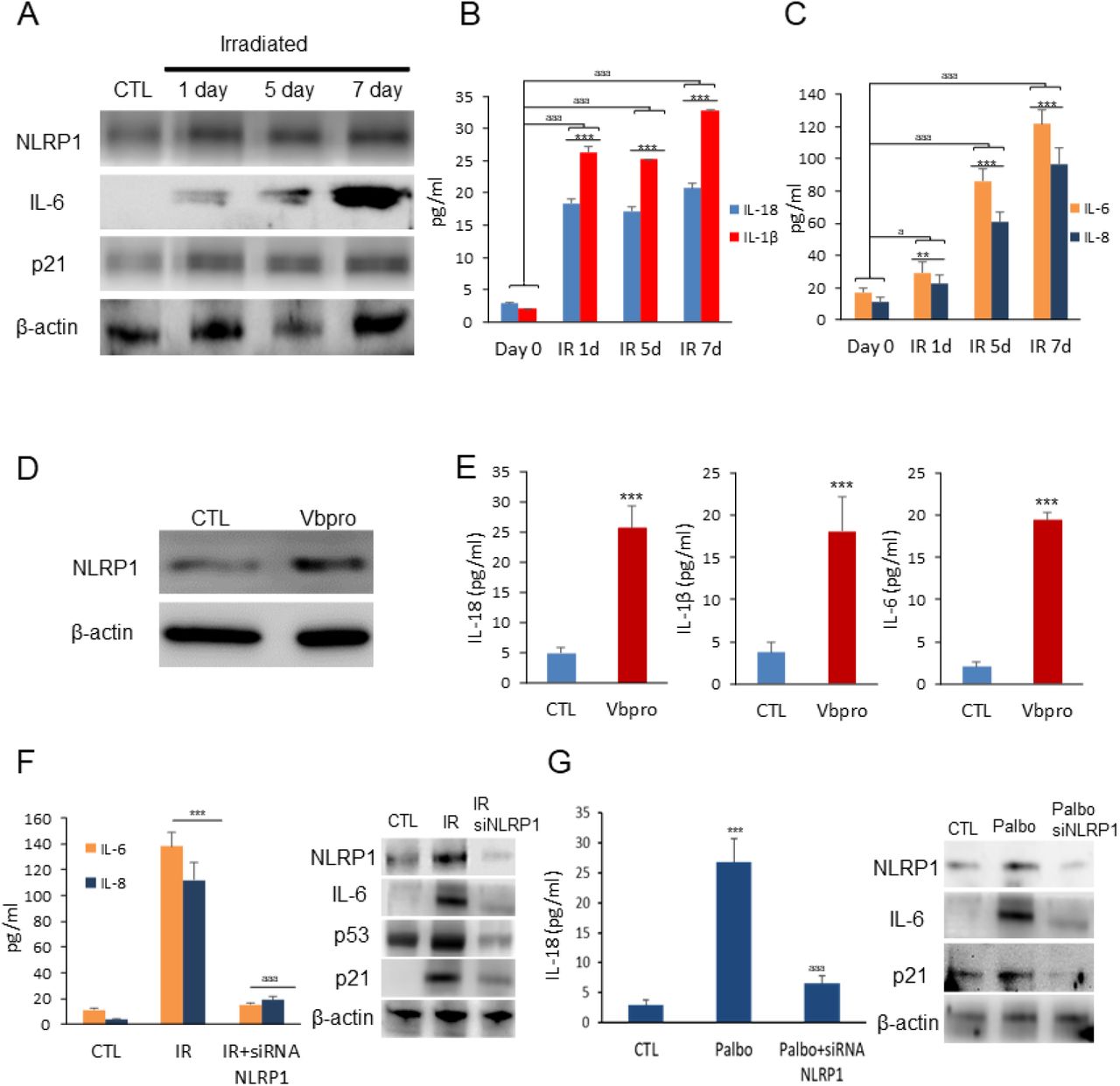 Il 8 | Thermo Fisher | Bioz