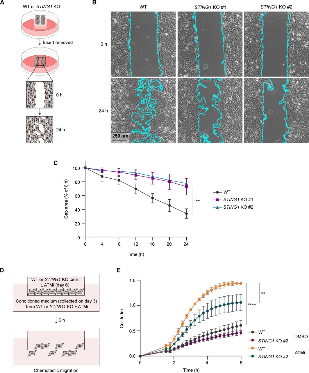 Xcelligence Rtca Instrument | Agilent technologies | Bioz