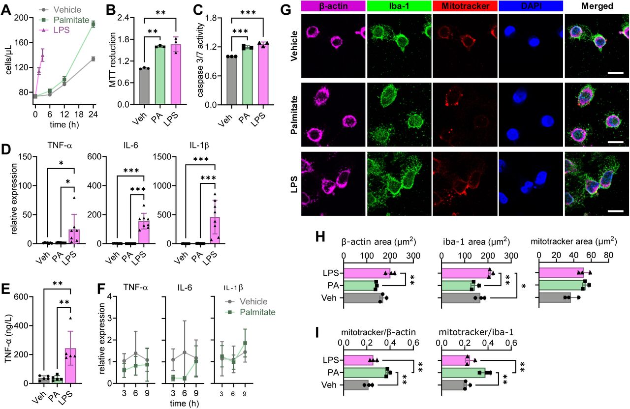 Bv2 Cells | ATCC | Bioz