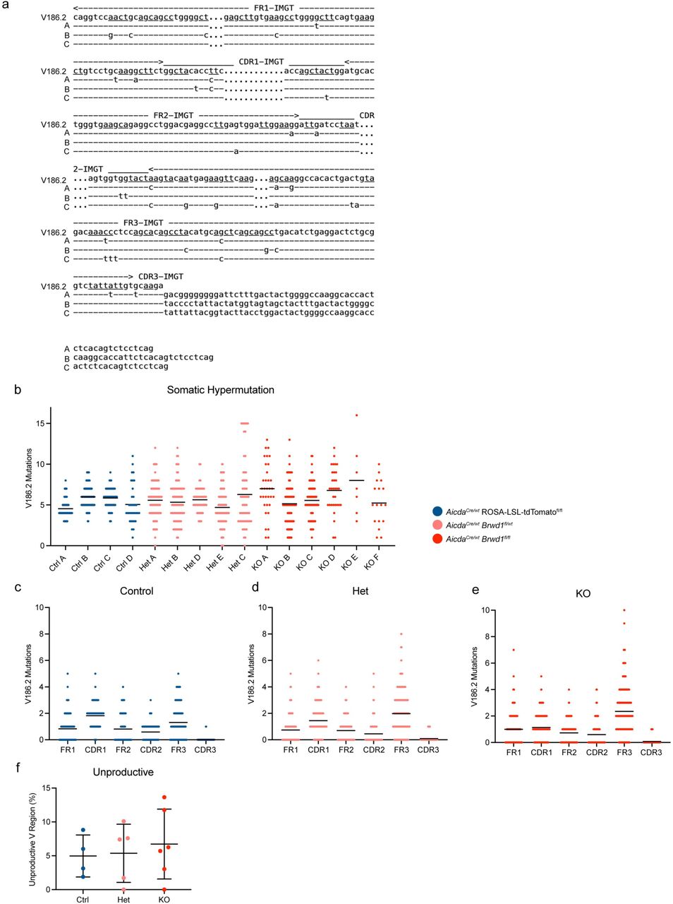 Rosa Lsl Tdtomato | Jackson Laboratory | Bioz