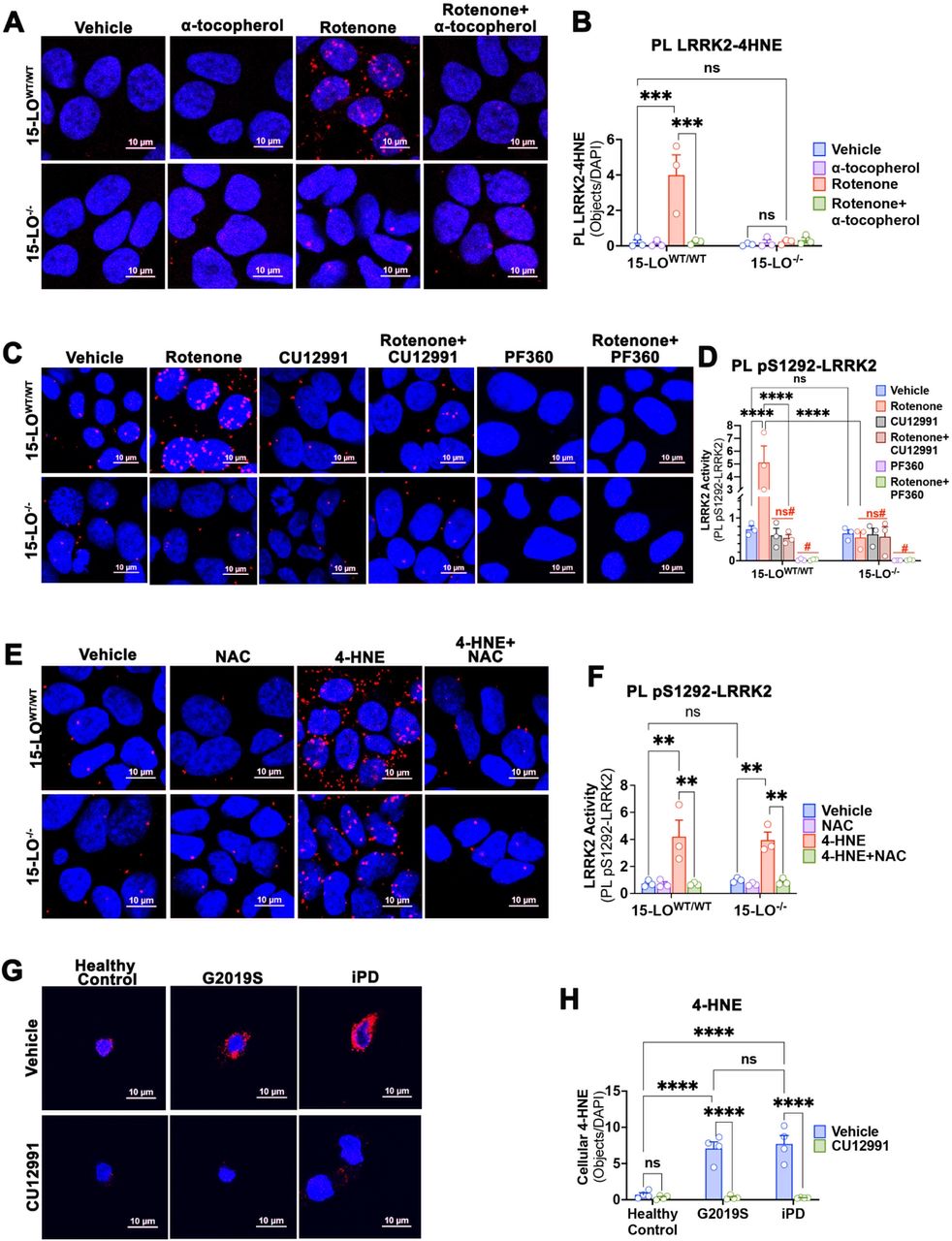 Hap1 Cells | ATCC | Bioz