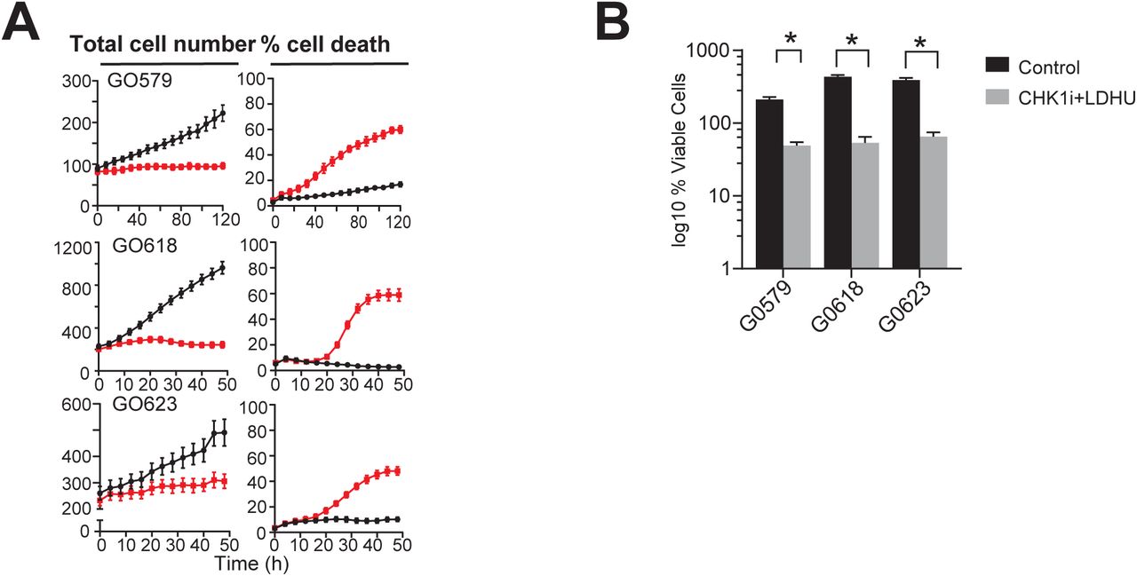Incucyte S3 Live Cell Imaging System | Thermo Fisher | Bioz