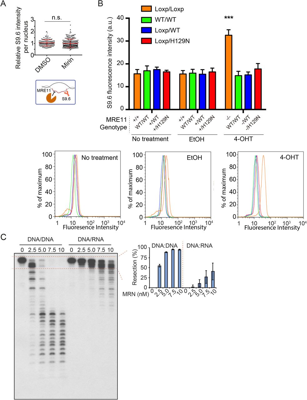S9 6 Antibody | Bioz | Ratings For Life-Science Research