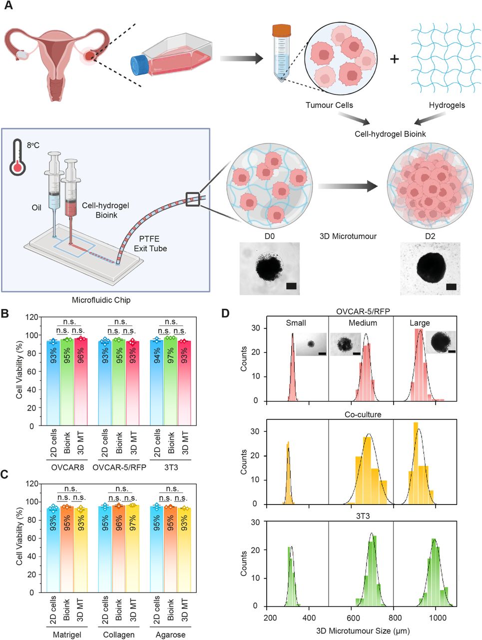 Ovcar8 Cell Line | ATCC | Bioz