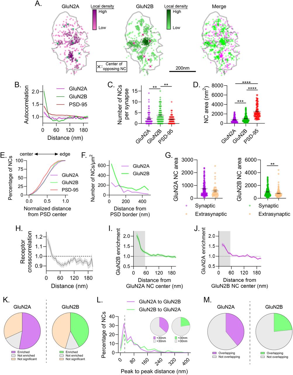 U6 Promoter Sgrna Gfp Grin2b Donor Cassette | New England Biolabs | Bioz
