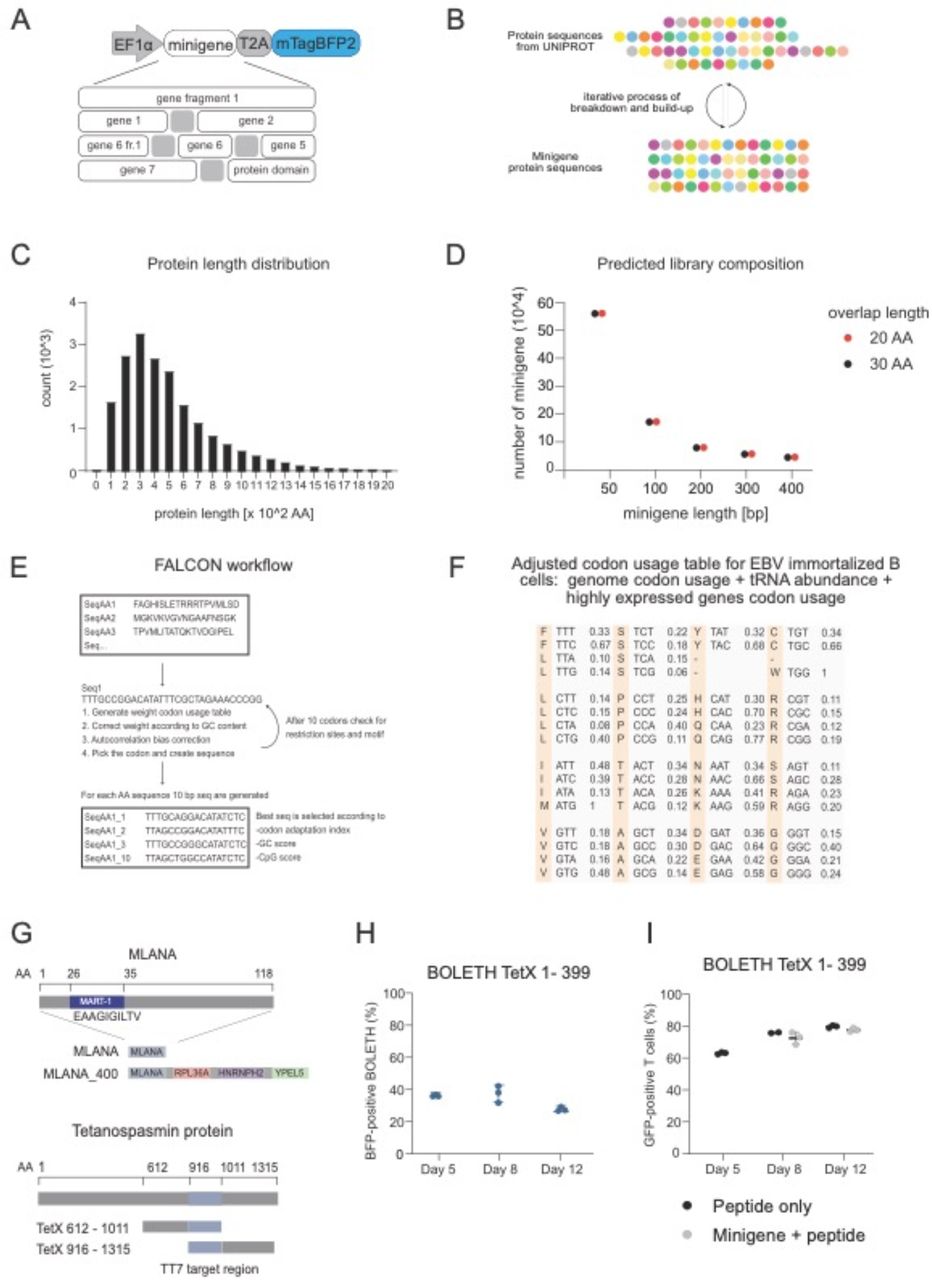 Plvx Ires Puro Vector | TaKaRa | Bioz