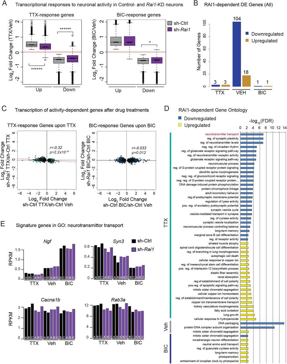 Rai1 Peptide | Thermo Fisher | Bioz