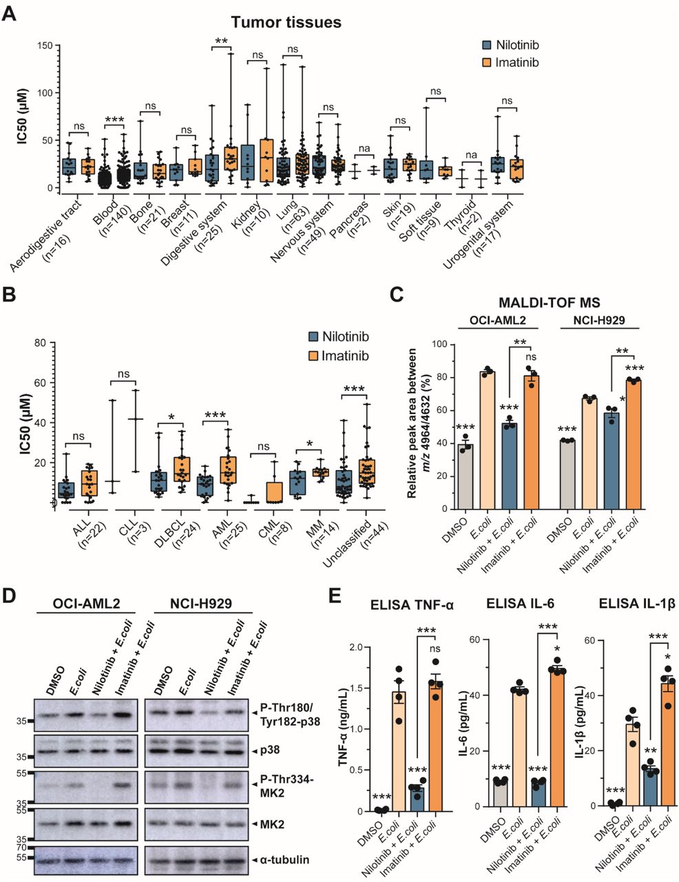 Cell Lines Nci H929 | ATCC | Bioz