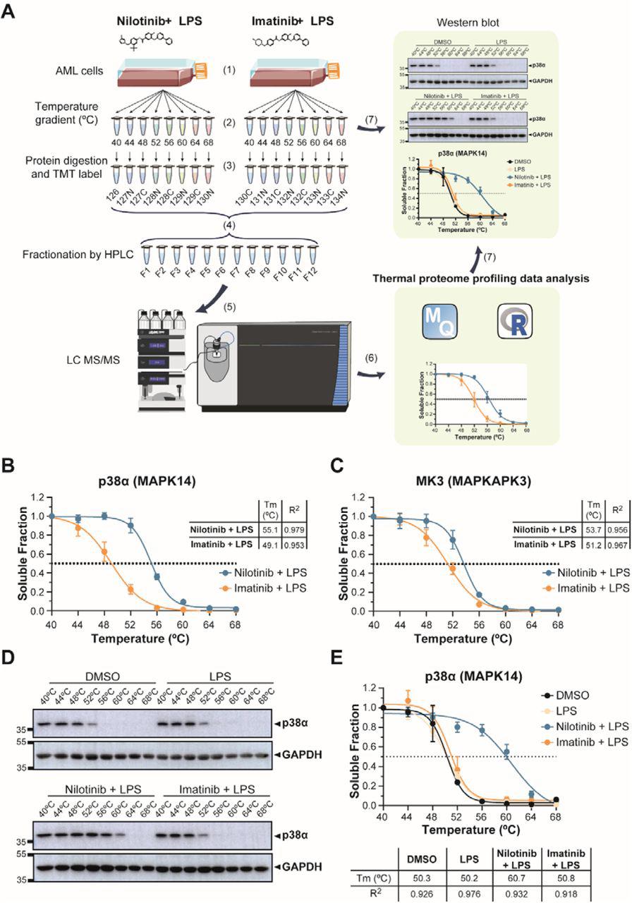 16 Plex Tandem Mass Tag Tmt Reagents | Thermo Fisher | Bioz