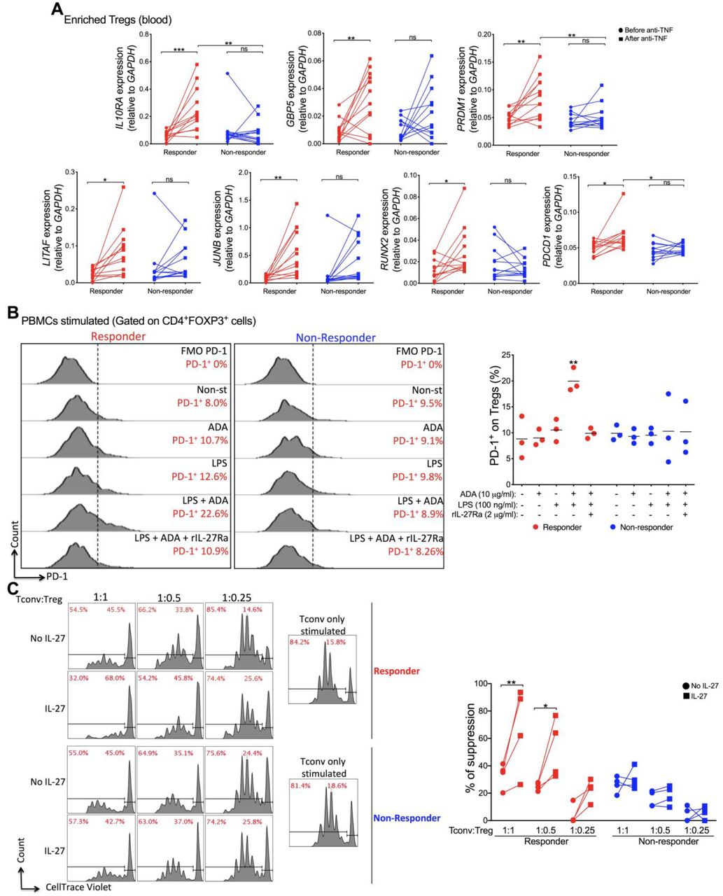 Non Treg Cells | Thermo Fisher | Bioz