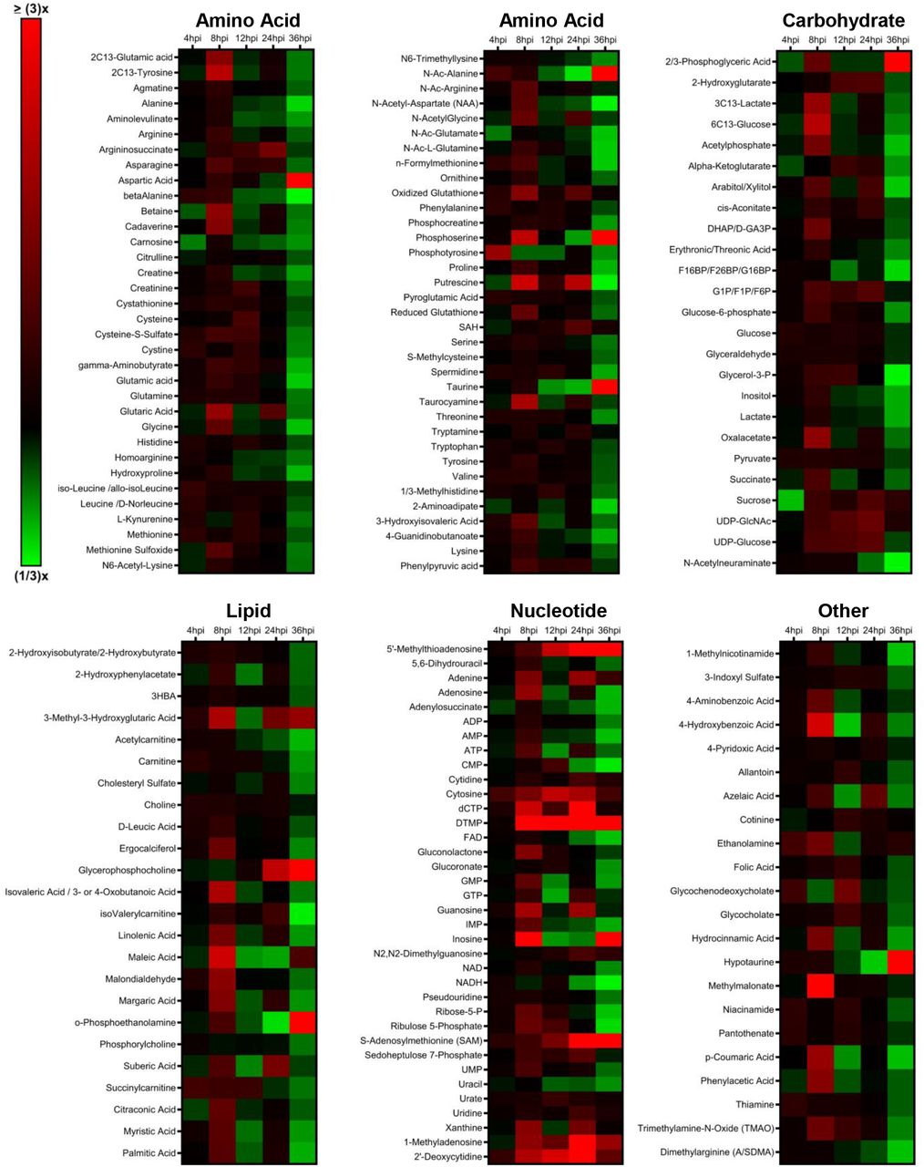 Murid Herpesvirus | ATCC | Bioz