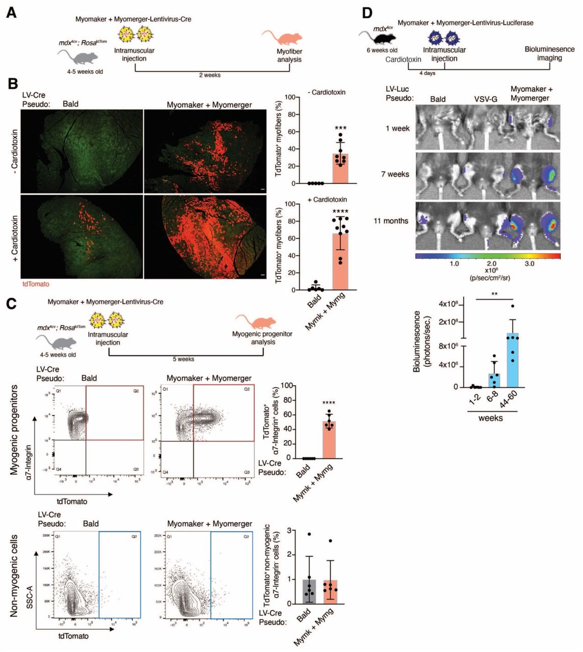 Vivo Imaging System Ivis Spectrum Ct | PerkinElmer | Bioz