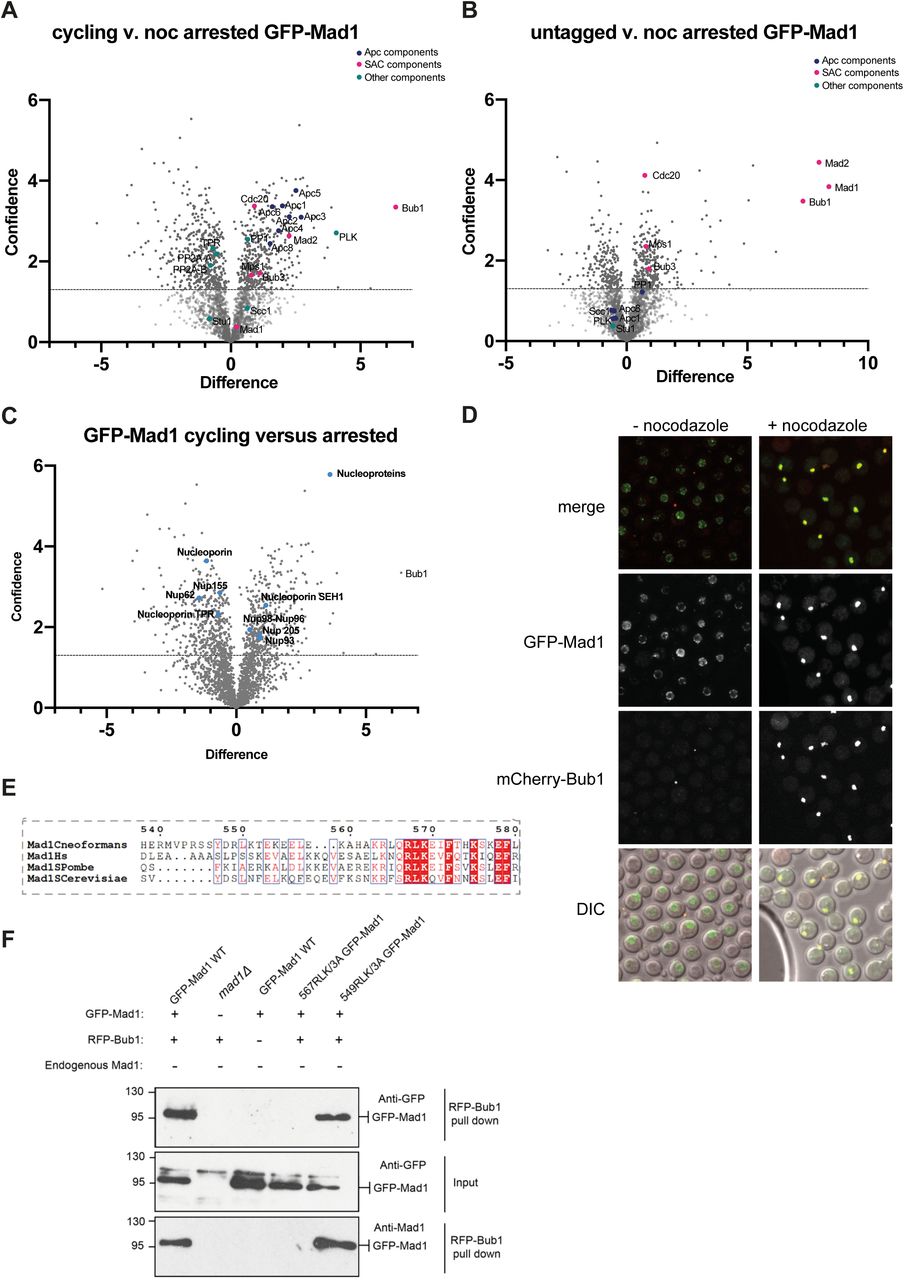 Gfp Trap Agarose | ChromoTek | Bioz