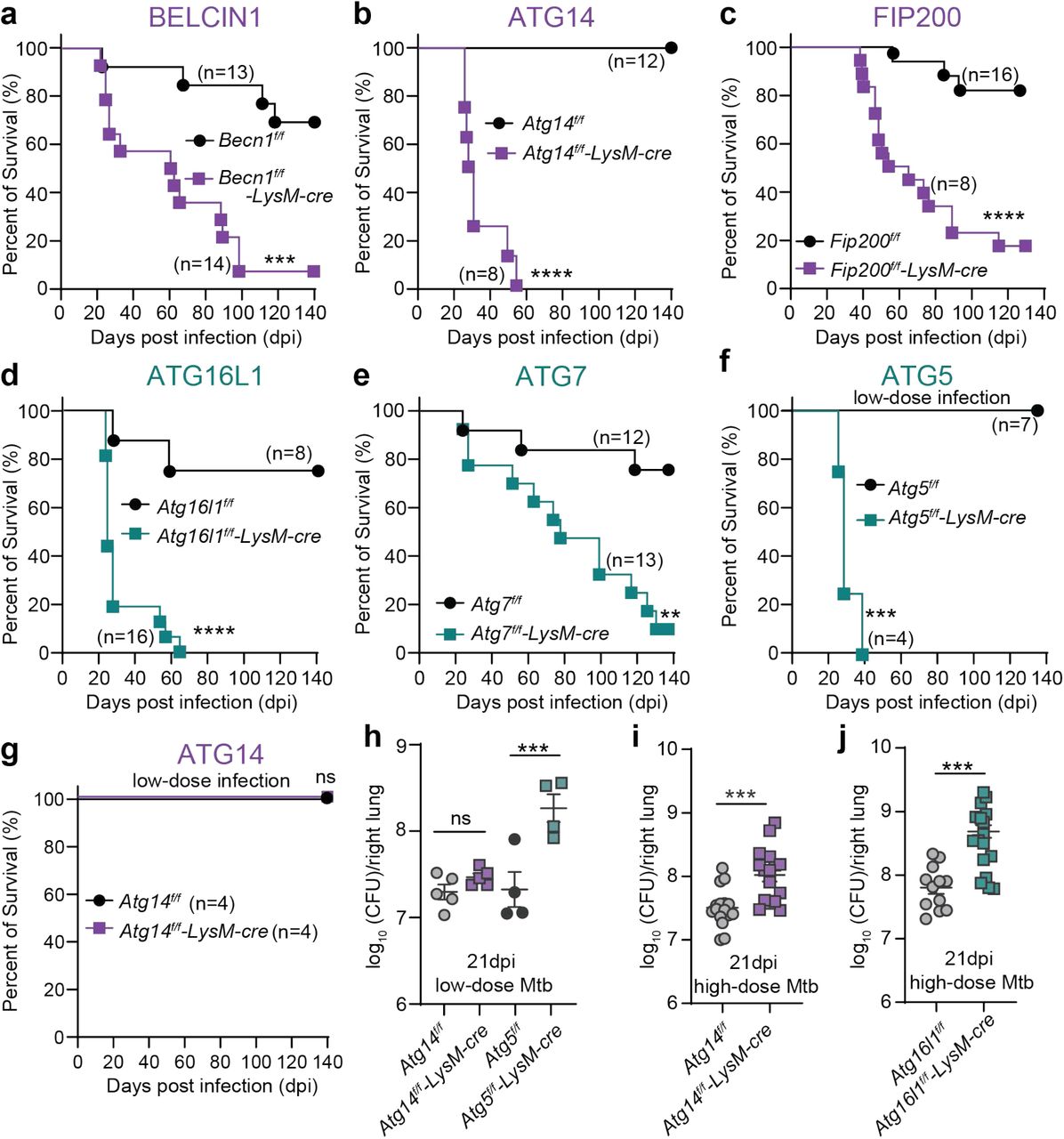 Log Rank Mantel Cox Test Survival | GraphPad Software Inc | Bioz