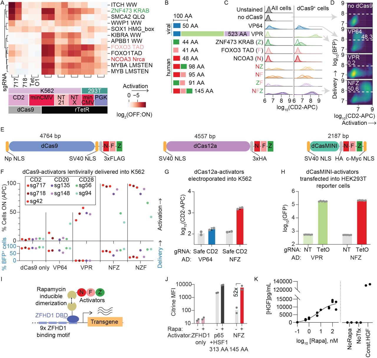 300k K562 Cells | Lonza | Bioz