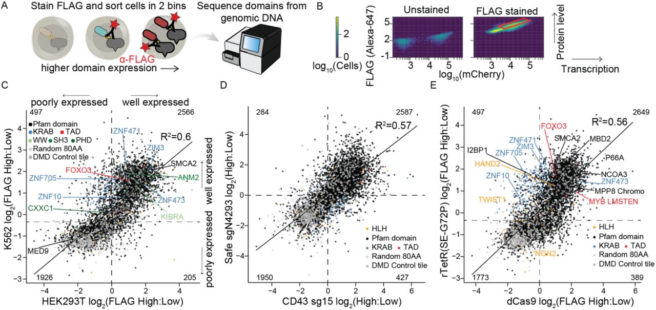 300k K562 Cells | Lonza | Bioz