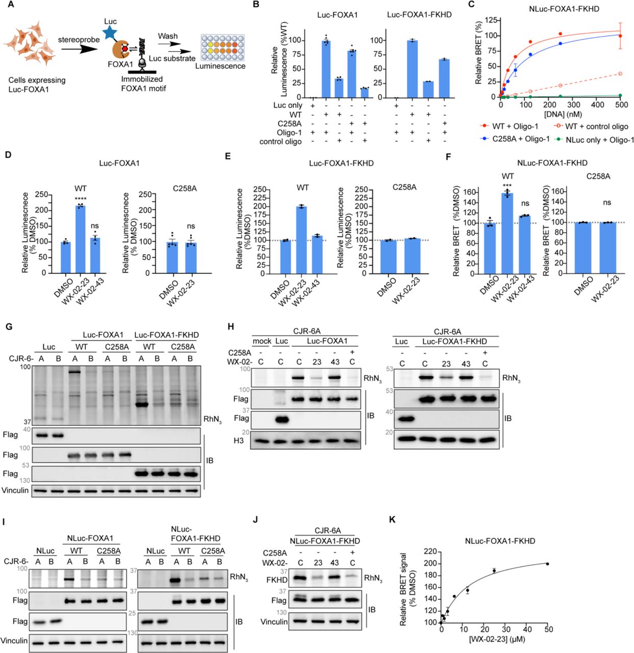 Nanobret Nano Glo Substrate | Promega | Bioz