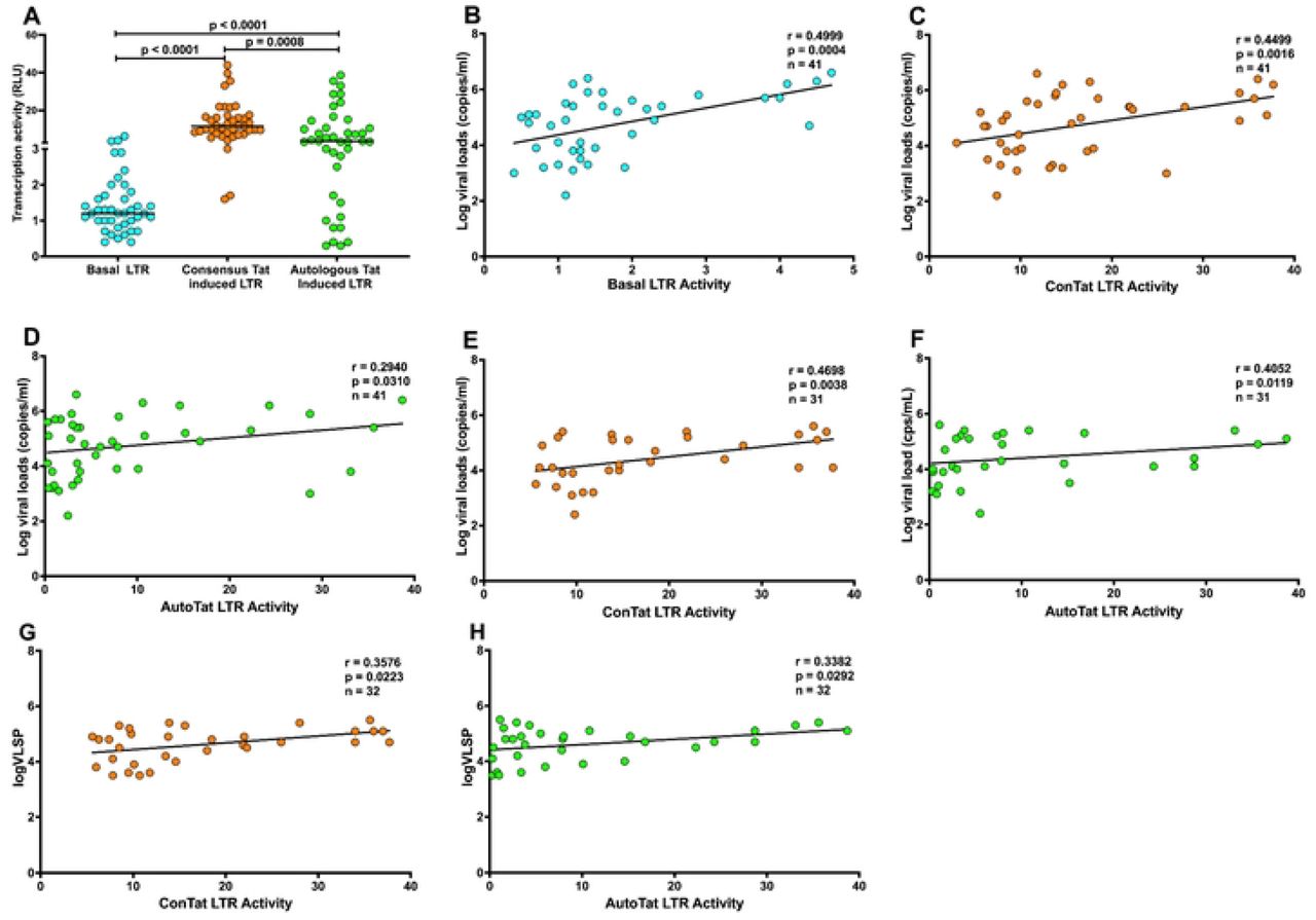 Polyethylenimine Pei Transfection Reagent | Thermo Fisher | Bioz