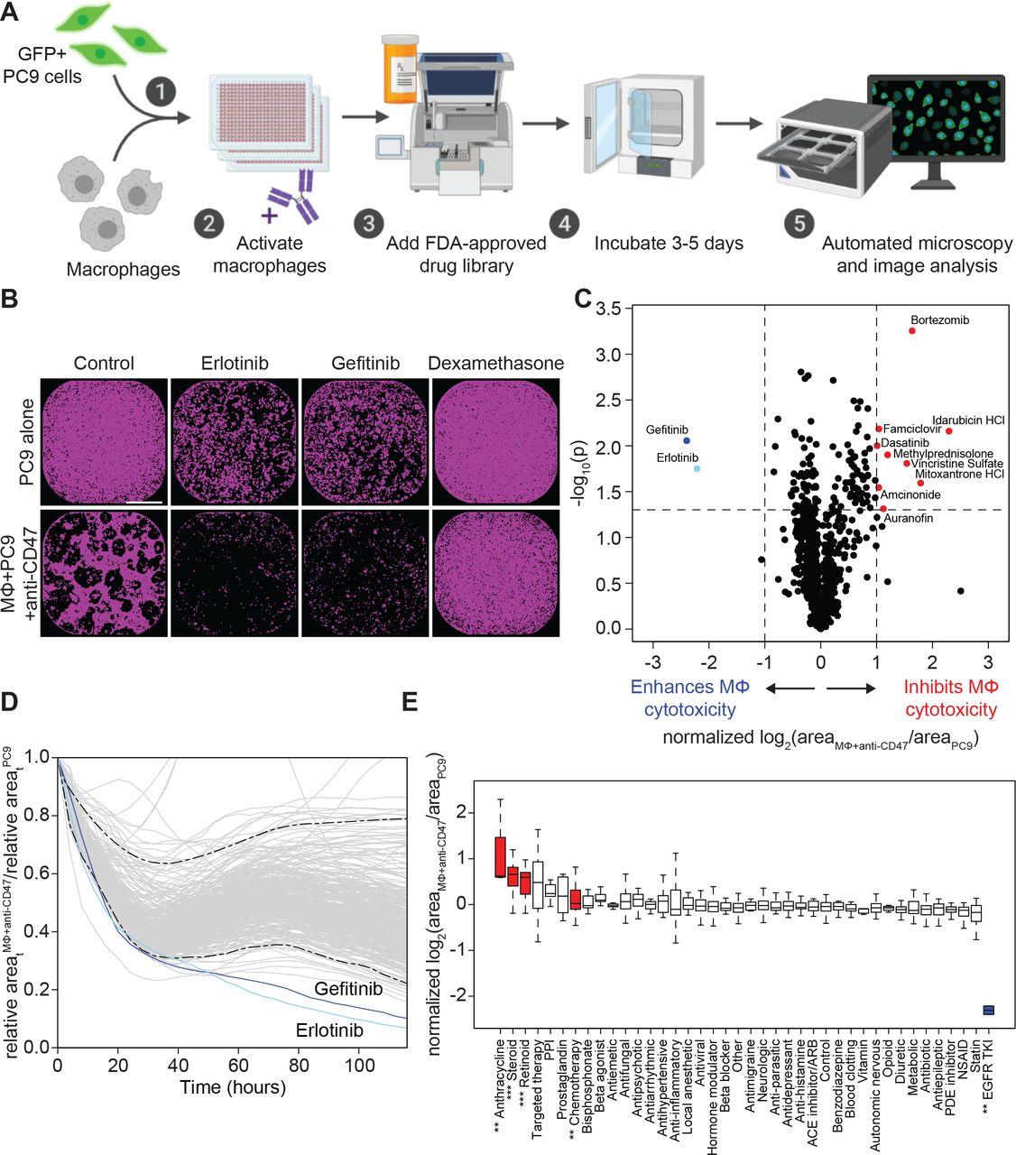 Cd47 | Thermo Fisher | Bioz