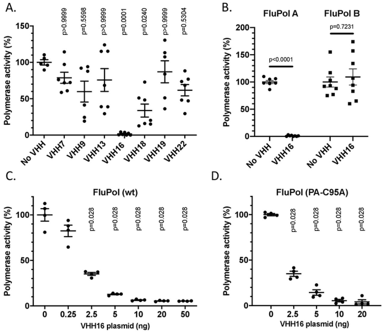 Human Embryonic Kidney Cells 293t Hek293t Cells | ATCC | Bioz