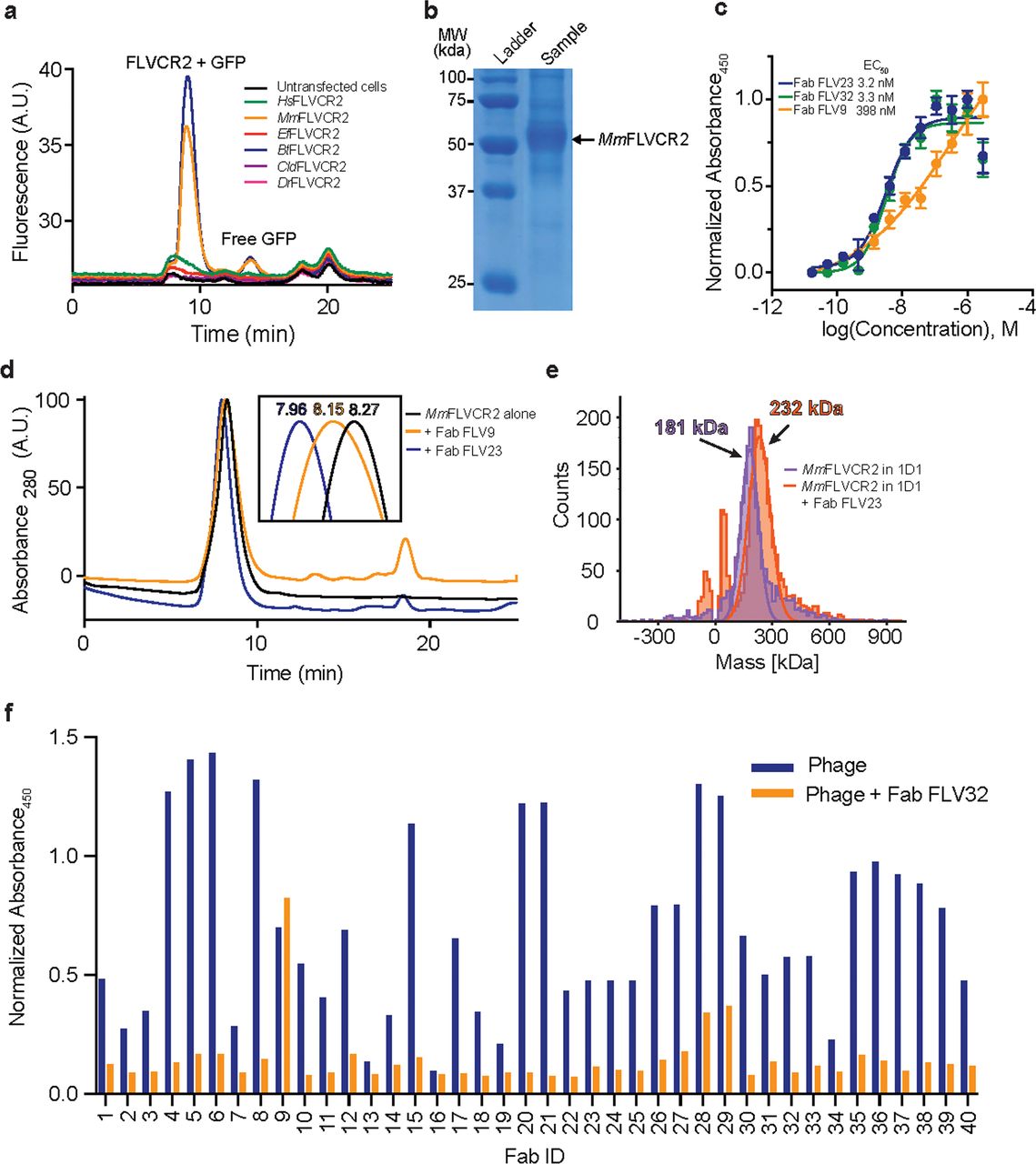 Cryo Em Data Sets | Thermo Fisher | Bioz