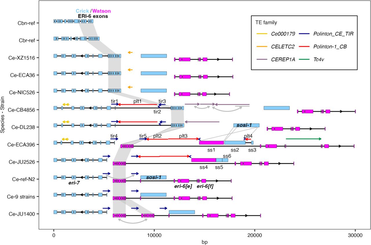 Rna Seq Fastq Data Files Bioz Ratings For Life Science Research