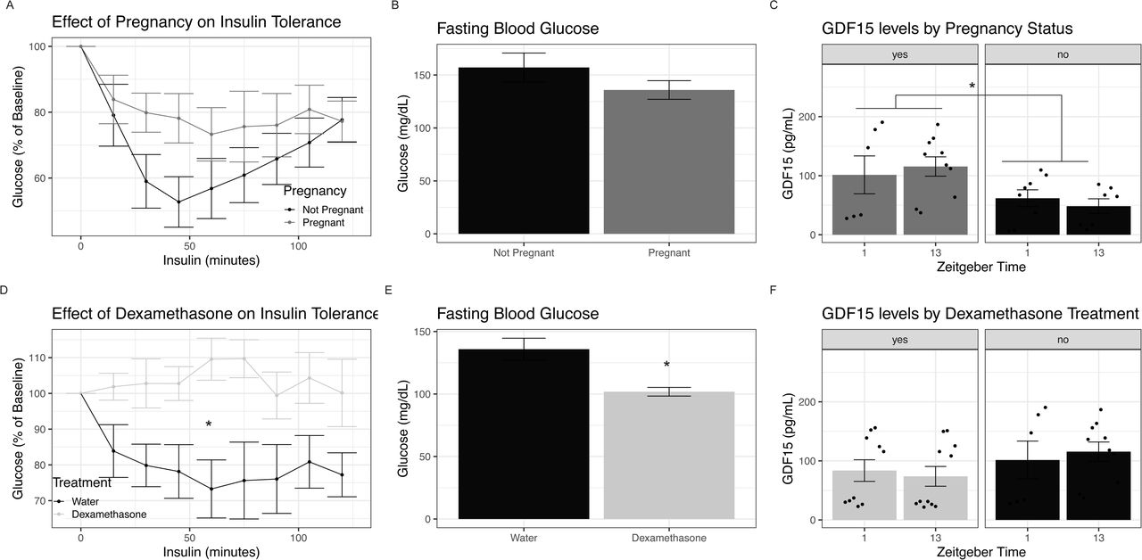 Jackson Laboratory C57Bl/6J at Peggy Bradley blog