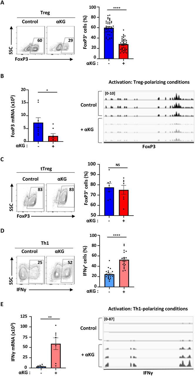 Macs Cd4 T Cell Negative Selection Kit | Miltenyi Biotec | Bioz