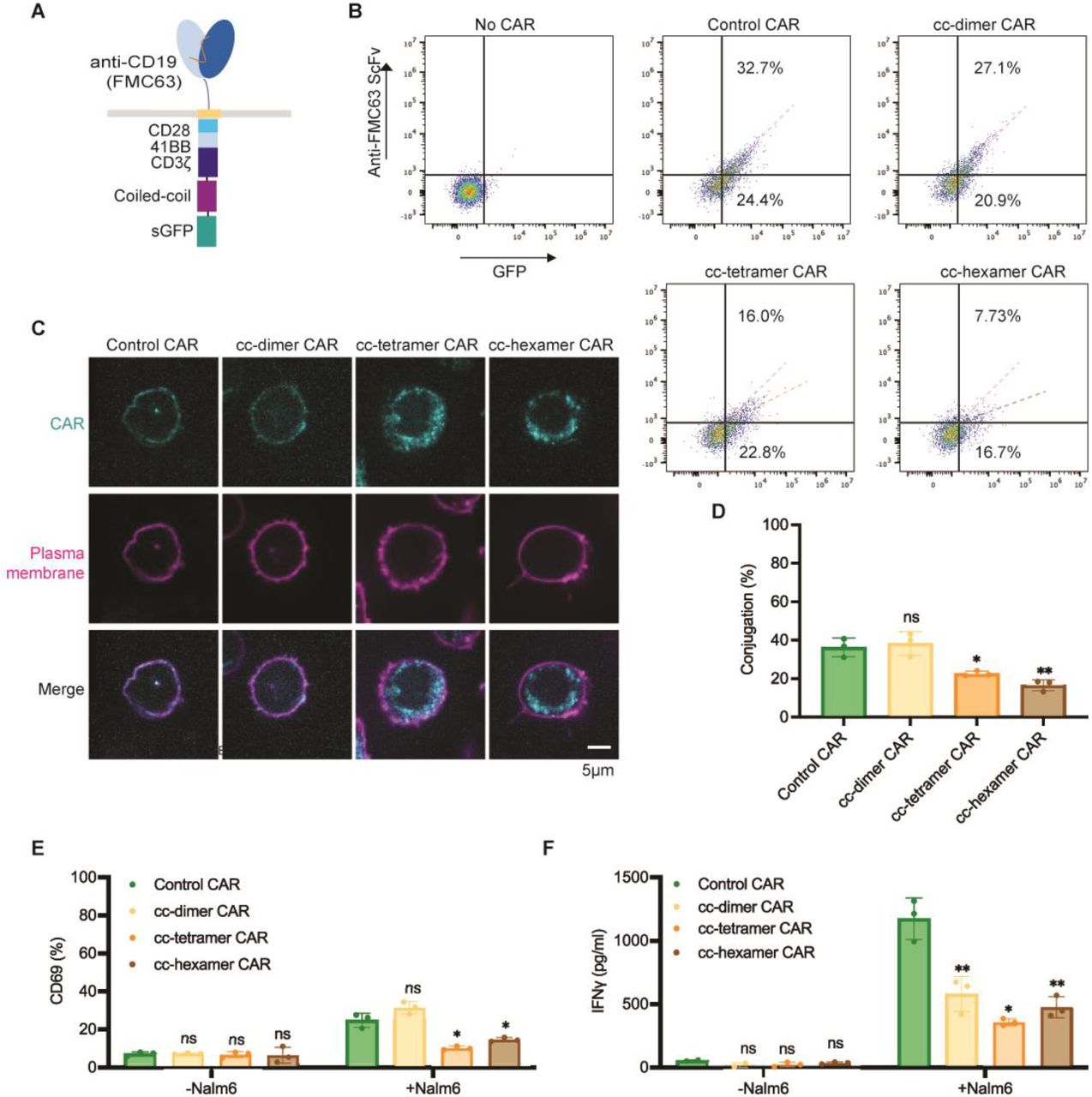 Cd3 Cd28 Human T Activator Dynabeads | Thermo Fisher | Bioz